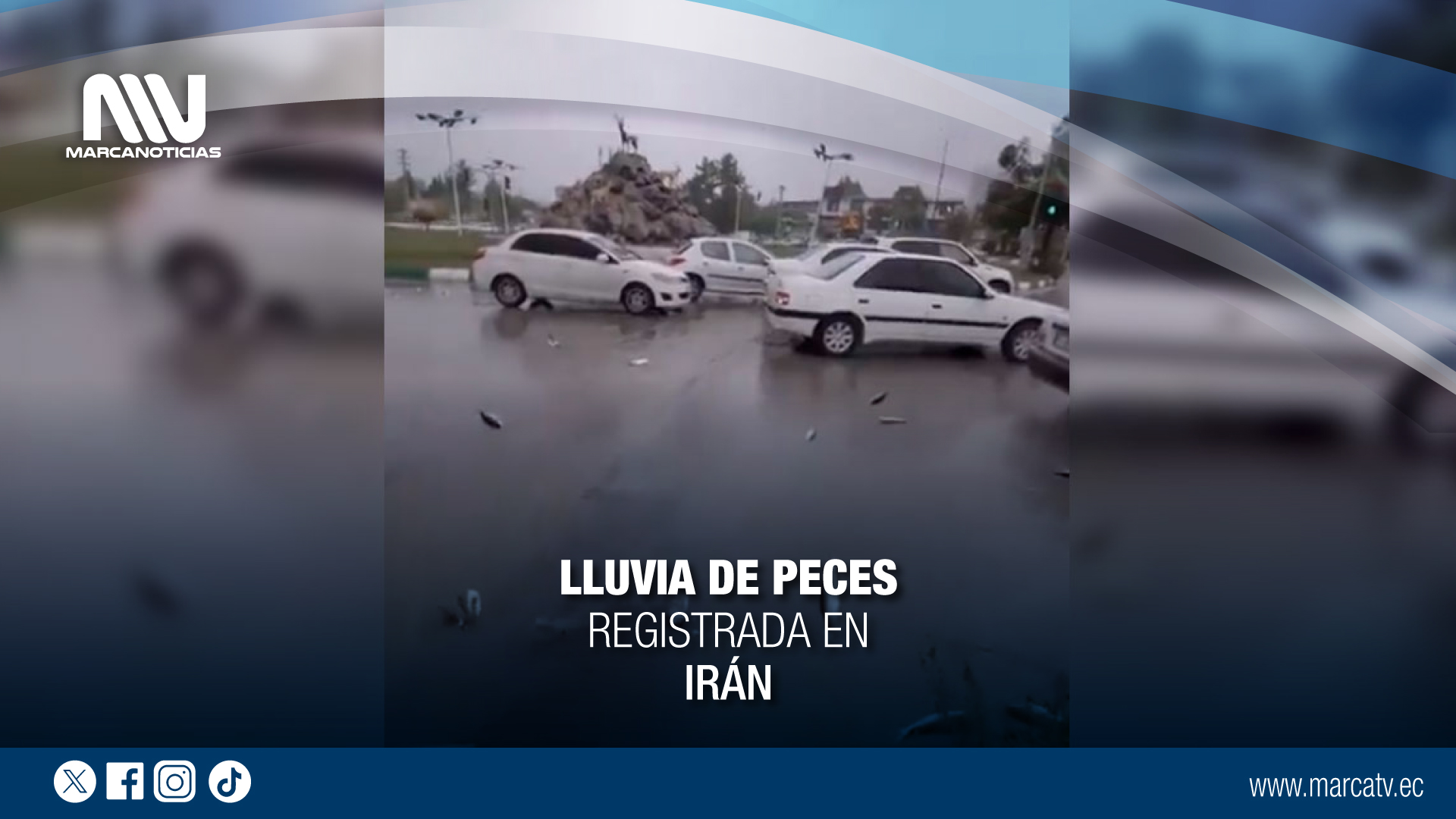LLUVIA DE PECES EN IRÁN: FENÓMENO INUSUAL EXPLICADO CIENTÍFICAMENTE
